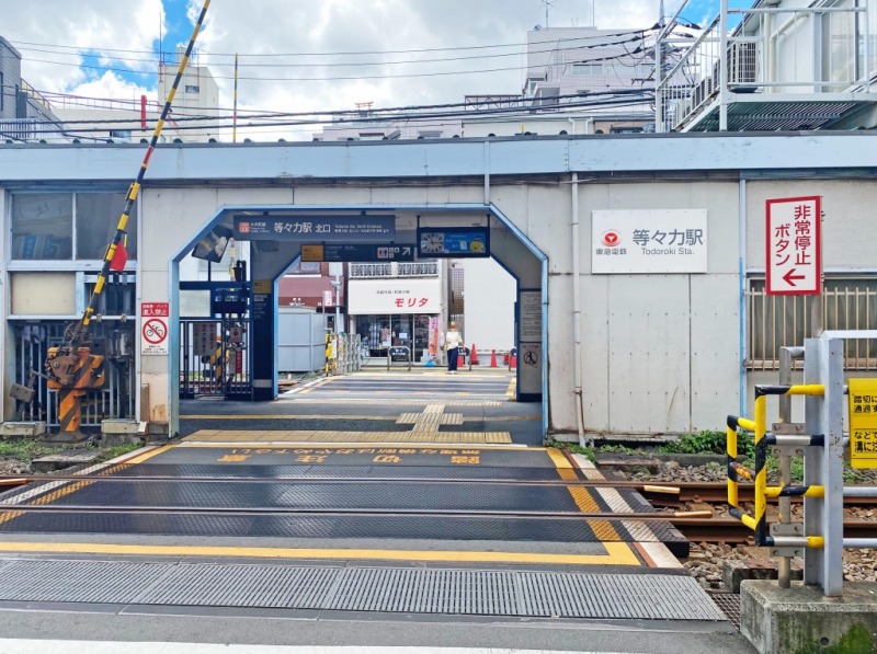 ペナテス玉川｜2駅1路線利用可。閑静な住宅街に佇むペット飼育可能なマンション | LogRenove(ログリノベ)