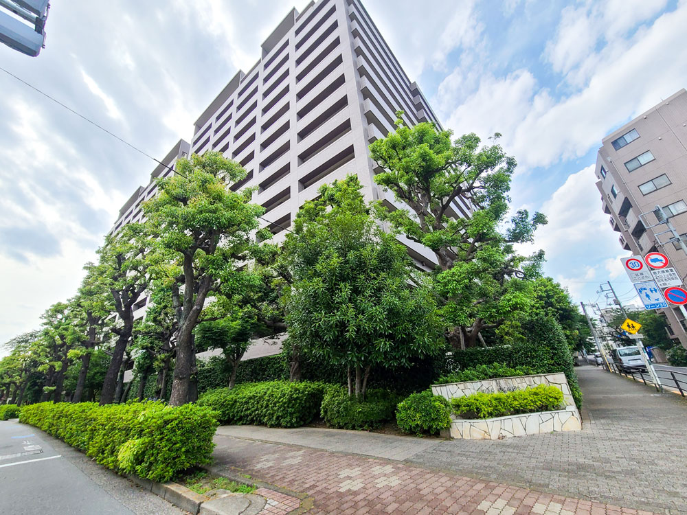 ヒルズ久が原壱番館9階の中古リノベーション物件情報｜東京都大田区、千鳥町駅 | LogRenove(ログリノベ)